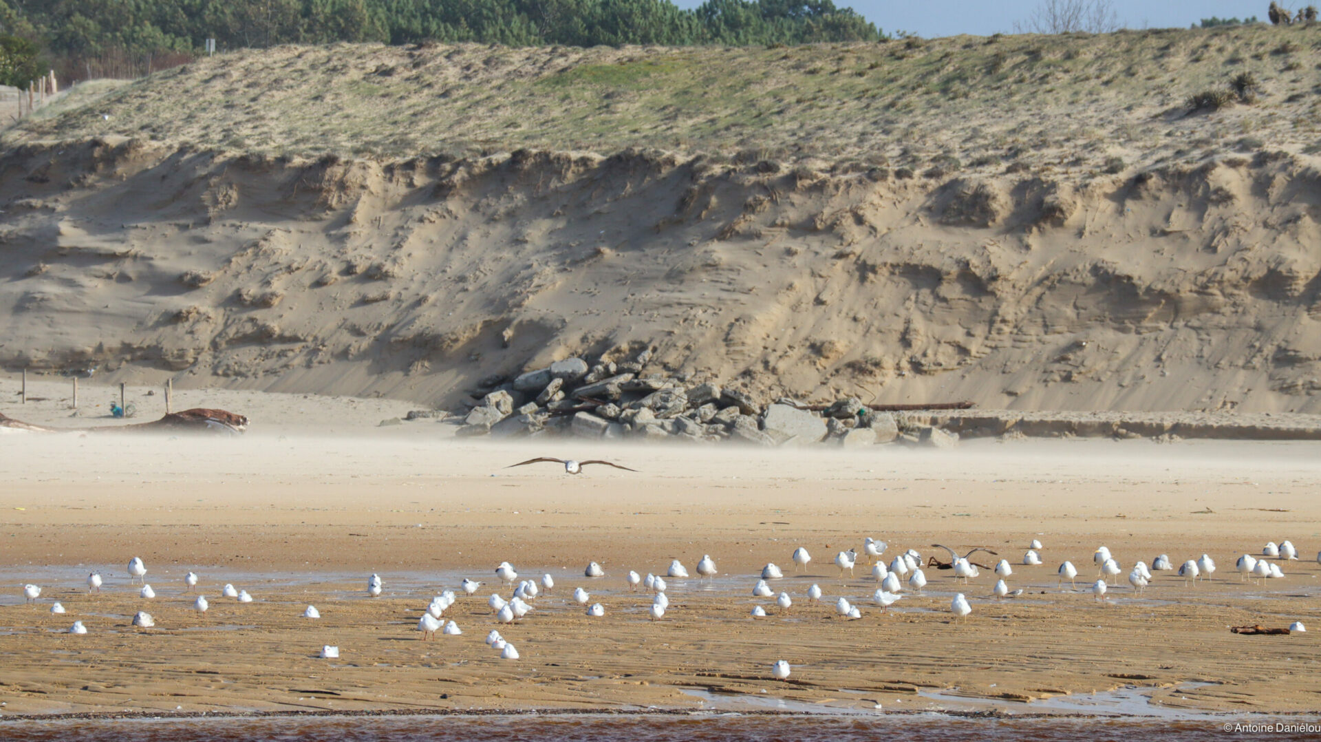 La Faune et la flore sauvage immortalisée par l’œil du Photographe Ma ...