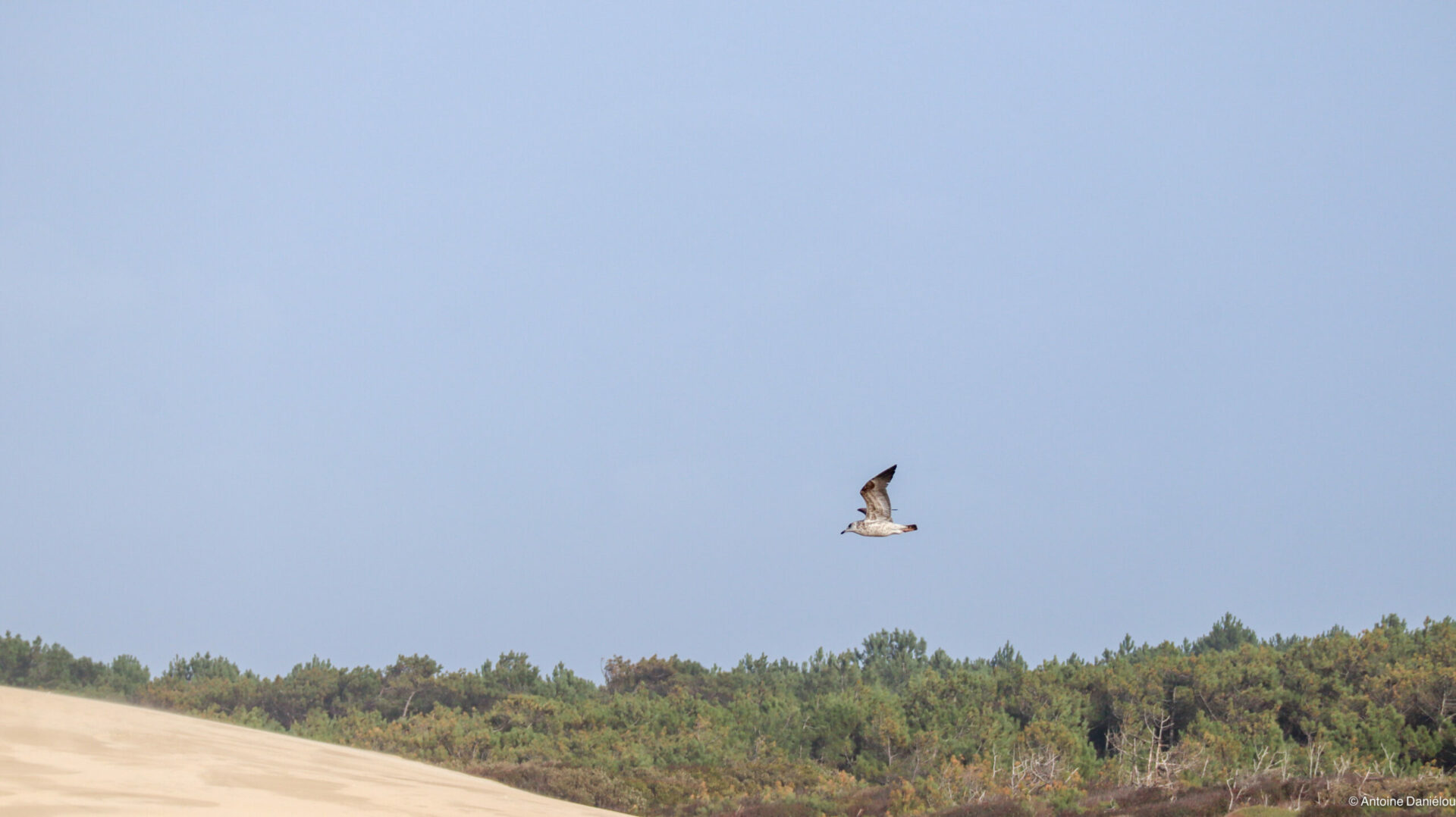 La Faune et la flore sauvage immortalisée par l’œil du Photographe Ma ...